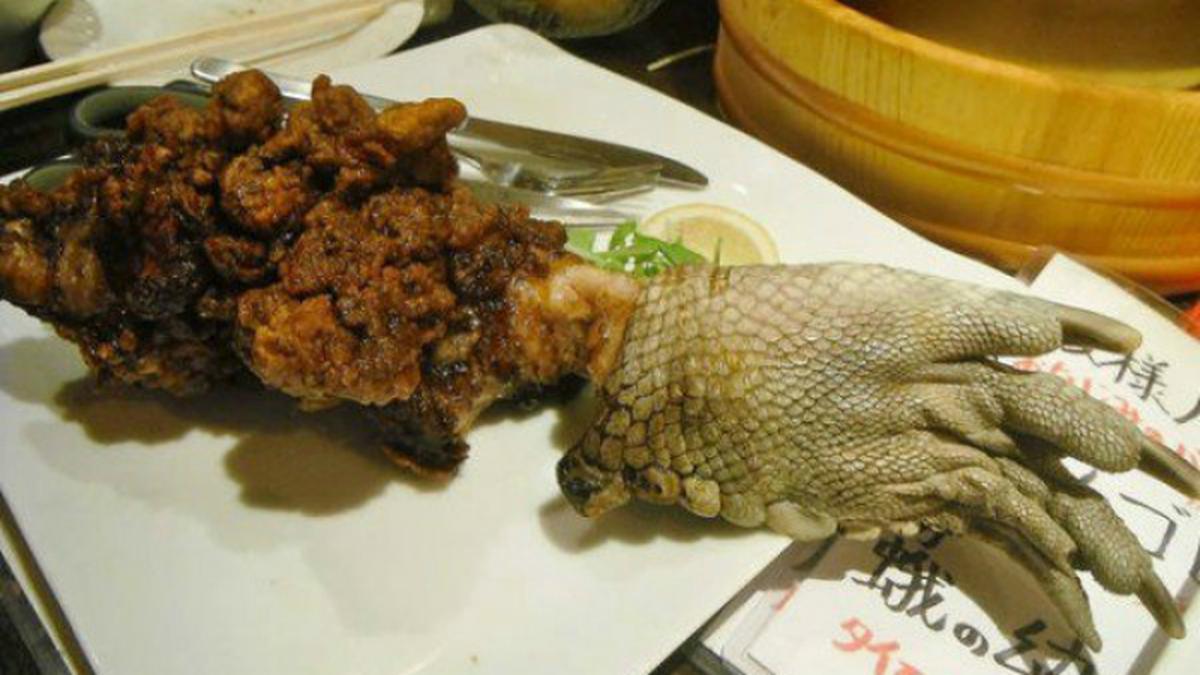 Ekstrem, Restoran Ini Jual Puding Cacing dan Kutu Goreng - Global ...