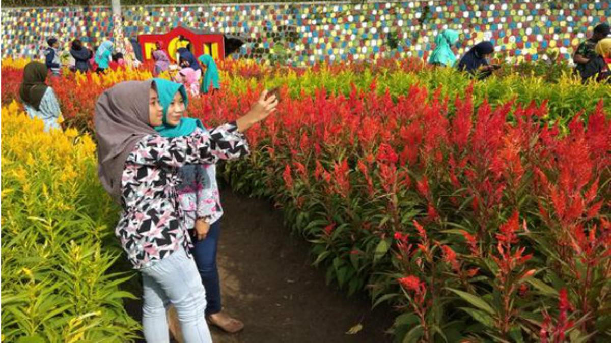 Foto Cantik Pagi Hari di Taman Ragil Kuning Boyolali - Regional ...