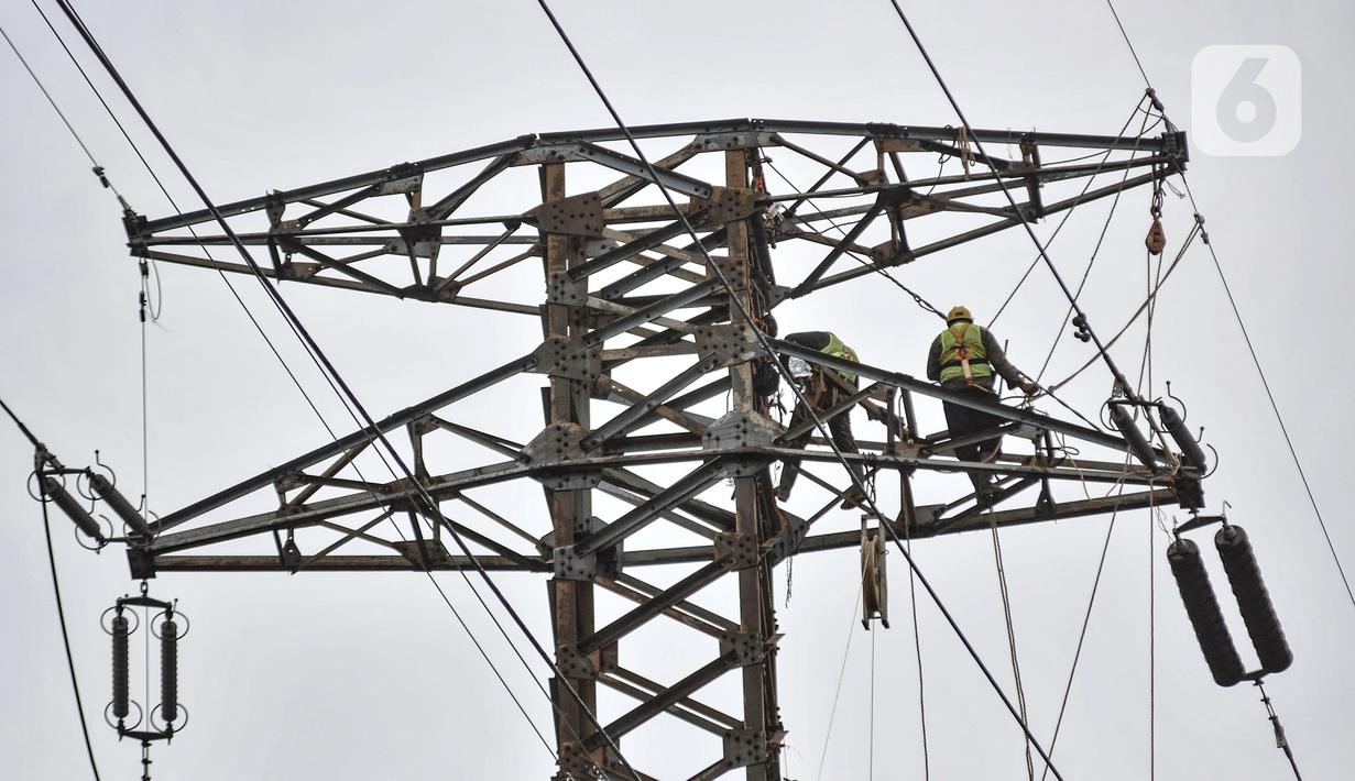 Perbaikan Rutin Jaga Stabilitas Sistem Kelistrikan Menara SUTET