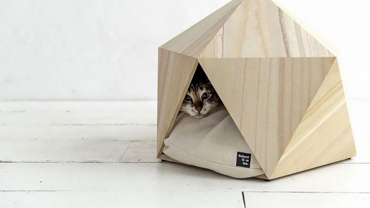 Tempat Tidur Geometri Bikin Kucing Kamu Bobo Nyenyak