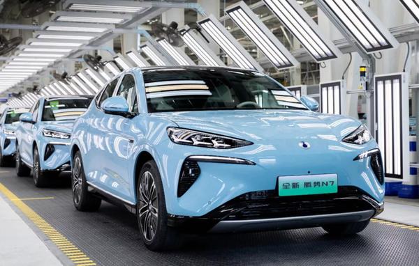 Ciri-Ciri Digigit Tomcat: Kenali Gejala dan Penanganannya