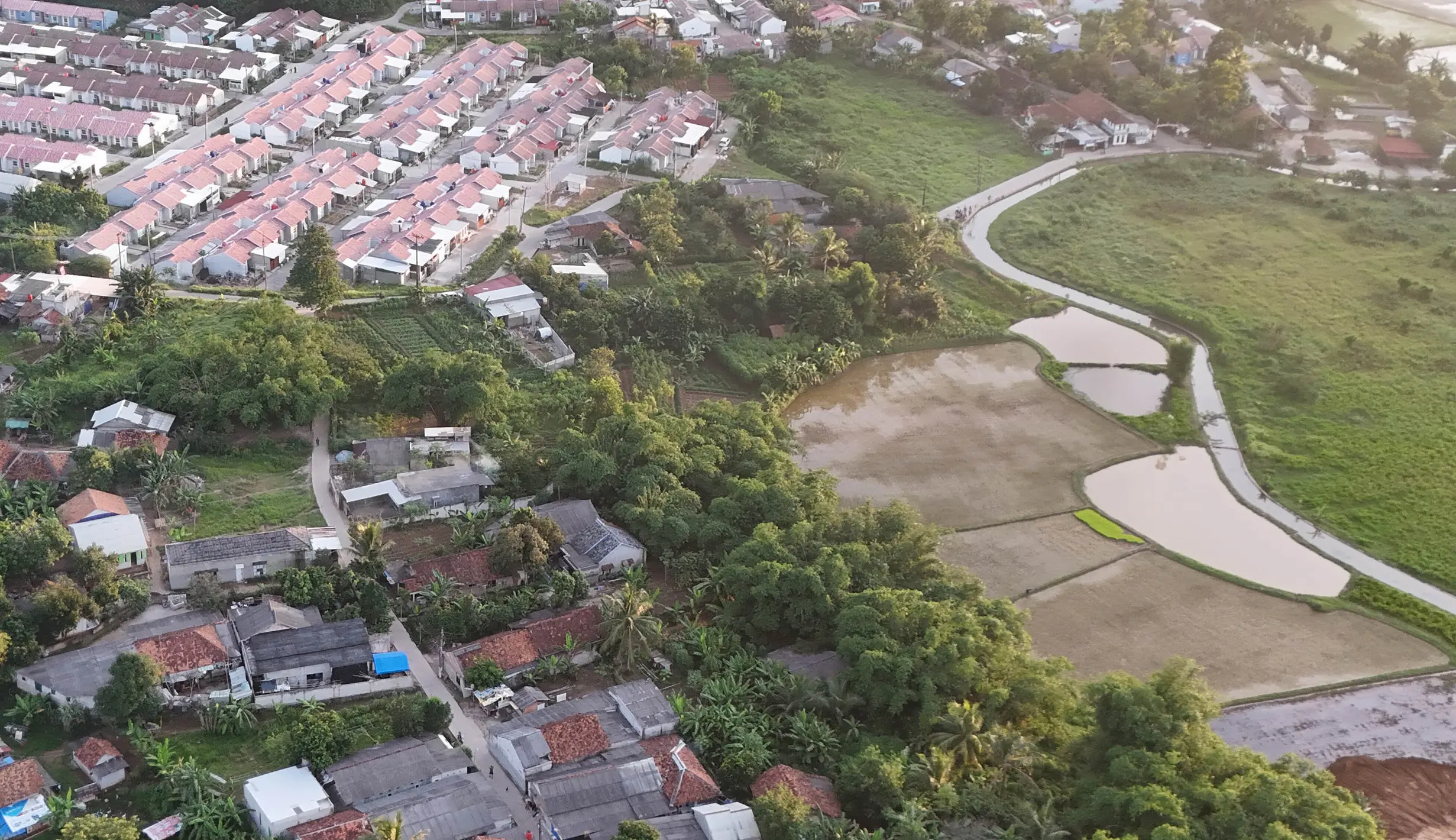 Luas Lahan Pertanian Kian Menyempit - Foto Liputan6.com