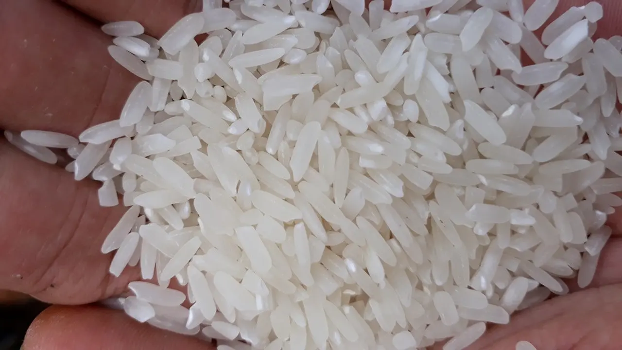 Harga Beras Mahal, Beras Analog Sagu Bisa jadi Pengganti - Bisnis ...