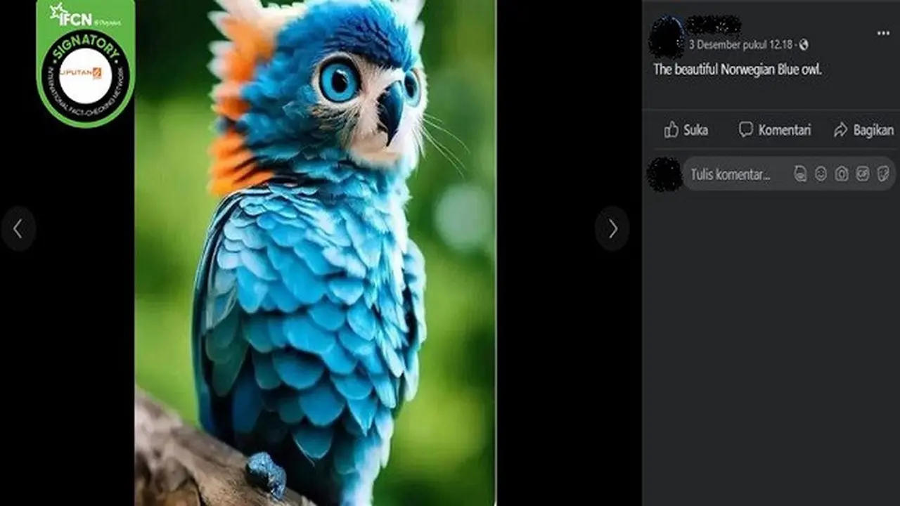 Cek Fakta: Tidak Benar Foto Burung Hantu Norwegia Berwarna Biru - Cek ...