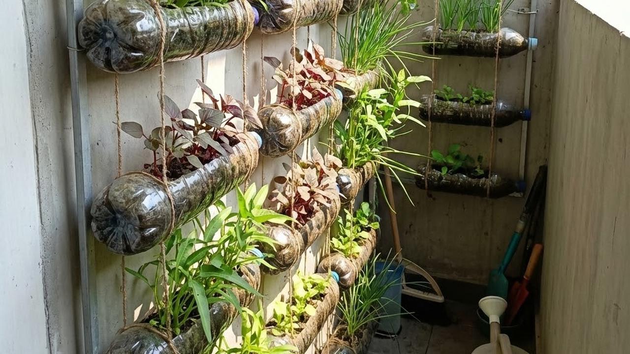 7 Cara Menata Kebun Mini dari Botol Bekas agar Rapi, Cantik dan Tidak Bau
