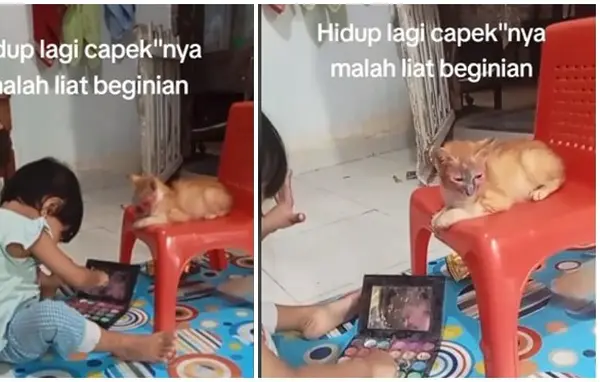Cek Fasilitas Haji 2023, Menag Yaqut Minta Syarikah Beri Layanan ...