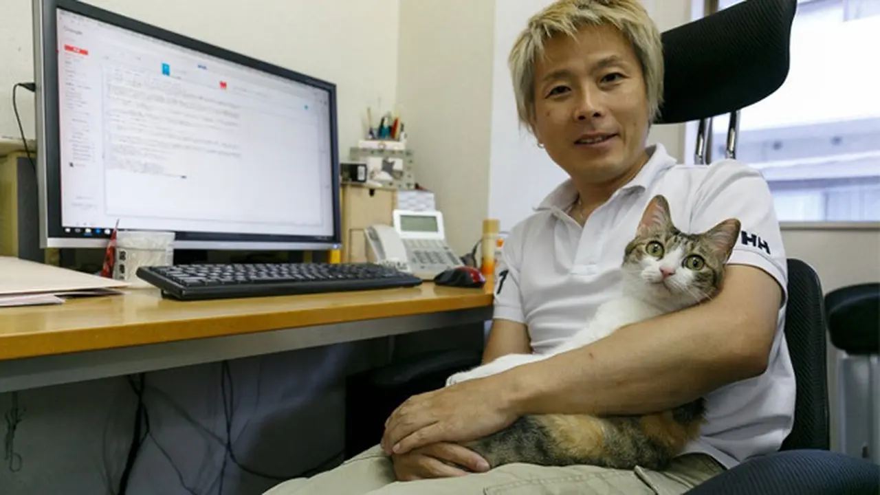 Agar Karyawan Tidak Gampang Stres, Perusahaan Pelihara Kucing di Kantor ...