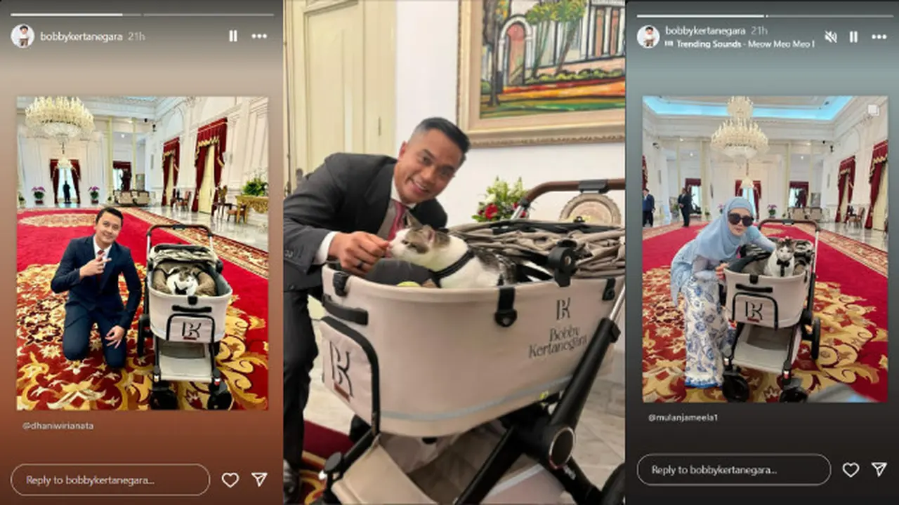 Harga Stroller Bobby Kertanegara Kucing Prabowo Bikin Netizen Ngurut ...