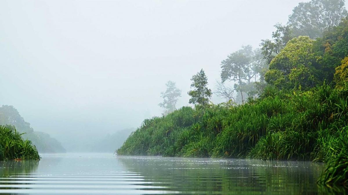 6 Fakta Menarik Kabupaten Katingan yang Punya Cerita Legenda Mangkikit ...