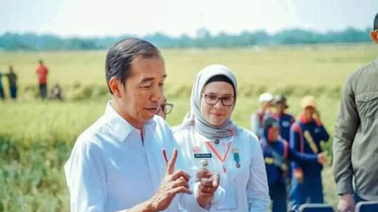 Pilkada Solo 2005, Titik Awal Perjalanan Jokowi di Panggung Politik ...