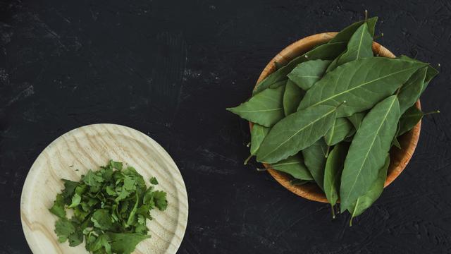 Resep Sayur Bening Daun Katuk yang Sehat dan Lezat untuk Keluarga
