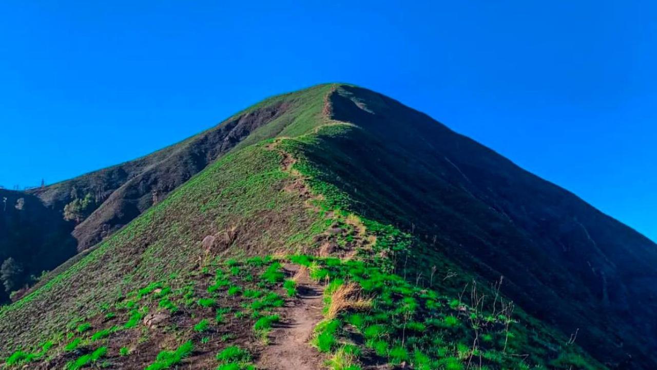 6 Fakta Menarik Gunung Anak Dara, Salah Satu 7 Summit di Sembalun ...