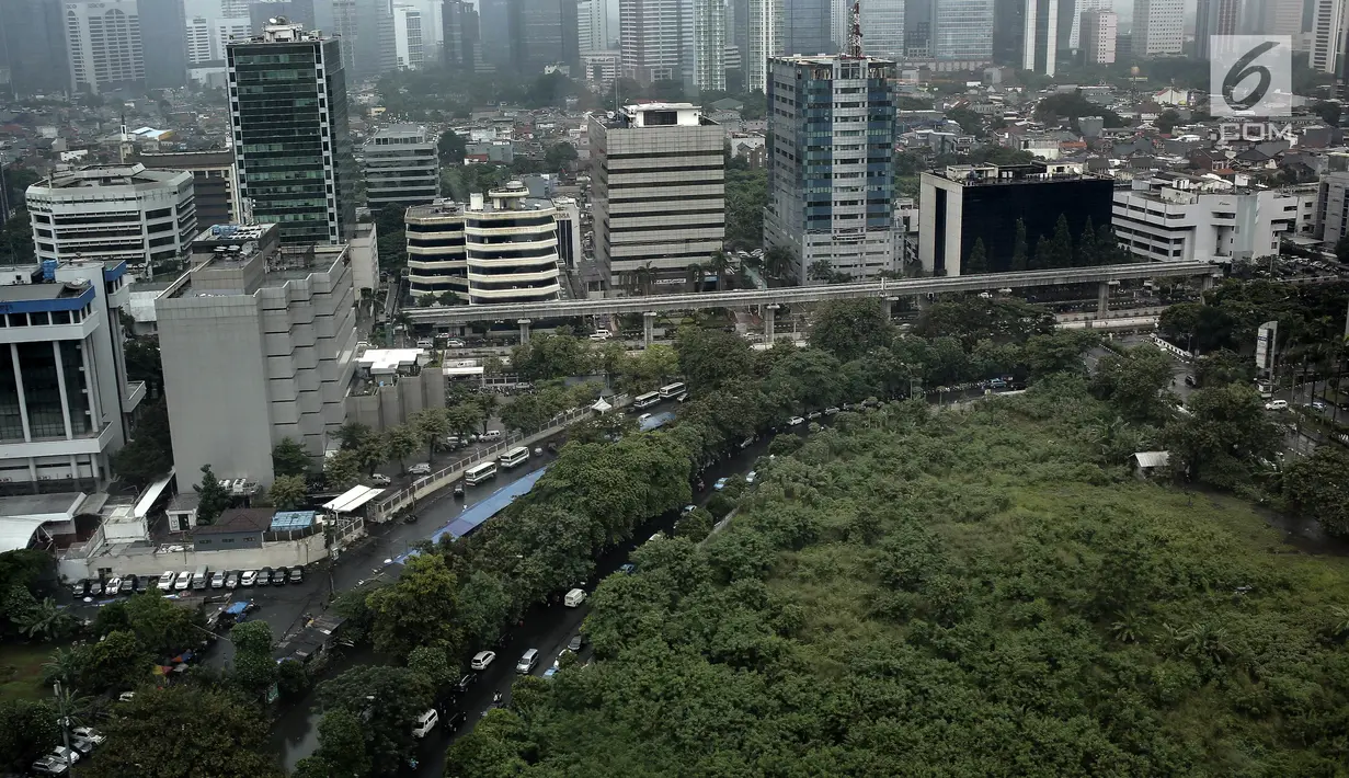FOTO: RTH DKI Jakarta Masih Jauh dari Target - Foto Liputan6.com