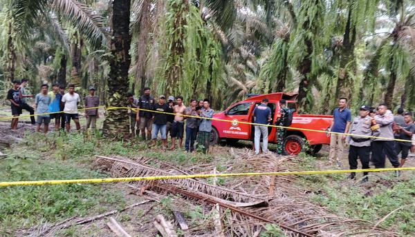 Mengenal Warung Taburai, Rumah Makan Baru Milik Praz Teguh di Kemang