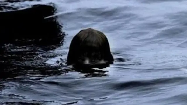 Jarang diketahui, Ini Dia 5 Hantu Paling Seram dan Mengerikan di ...