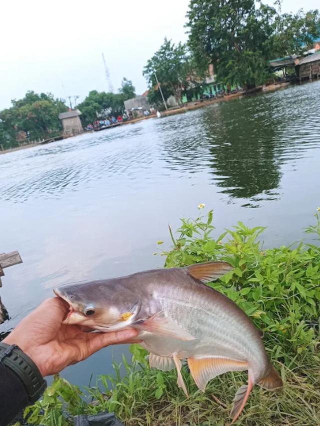 11 Rekomendasi Spot Mancing Nyaman 2025 di Cikarang