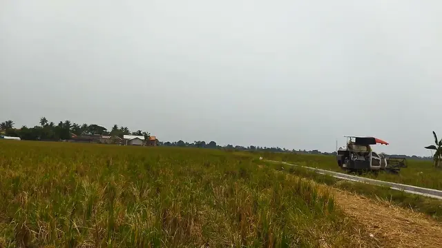 Antisipasi El Nino dan Tingkatkan Produksi, Kementan Realisasikan RJIT ...