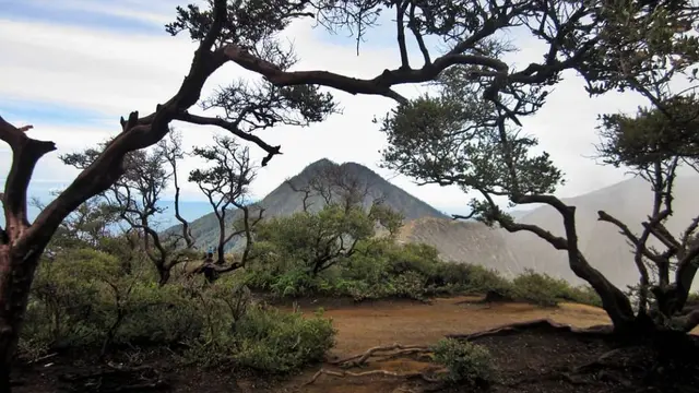 6 Fakta Menarik Gunung Ranti yang Bersebelahan dengan Kawasan Ijen di ...