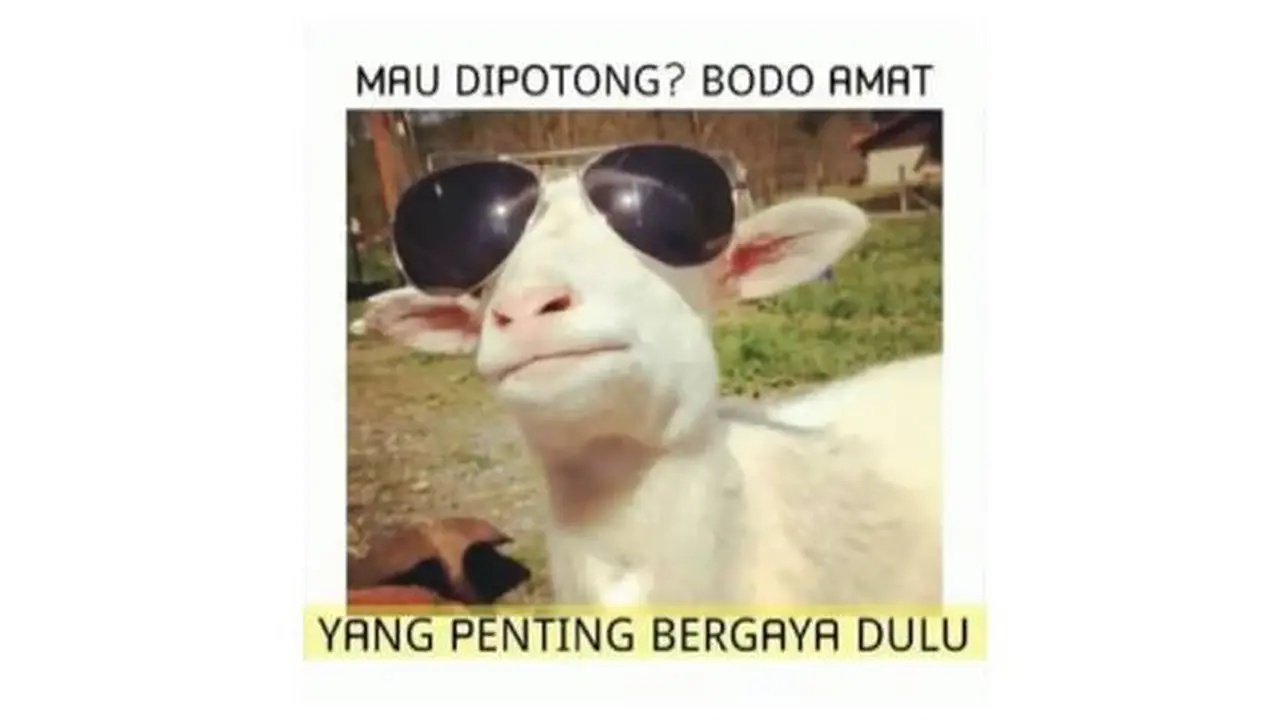 7 Meme Absurd Kambing Jelang Hari Raya Idul Adha Ini Kocak - Hot ...