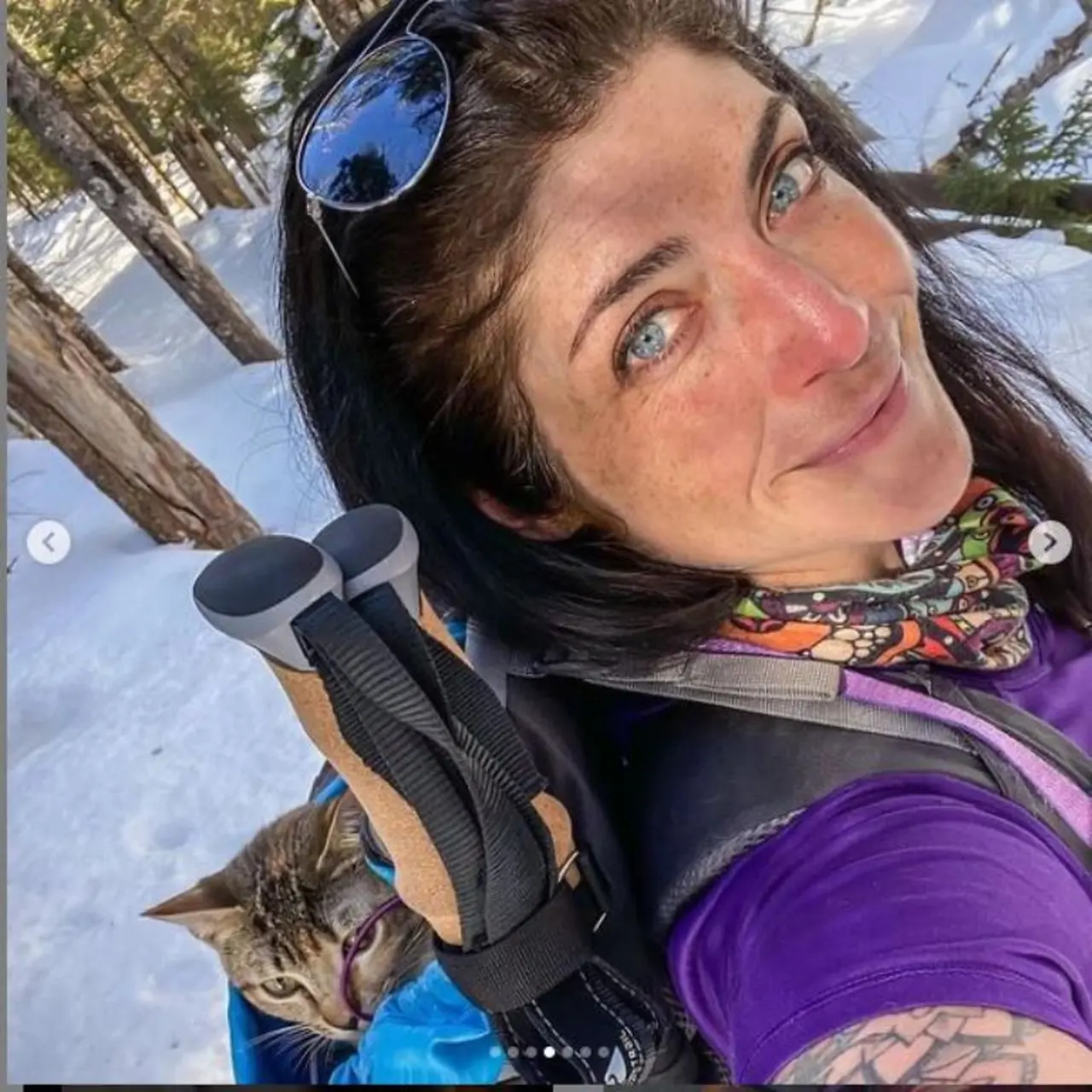 Kucing dan Pemiliknya Berhasil Capai Puncak Gunung Tertinggi di Amerika ...