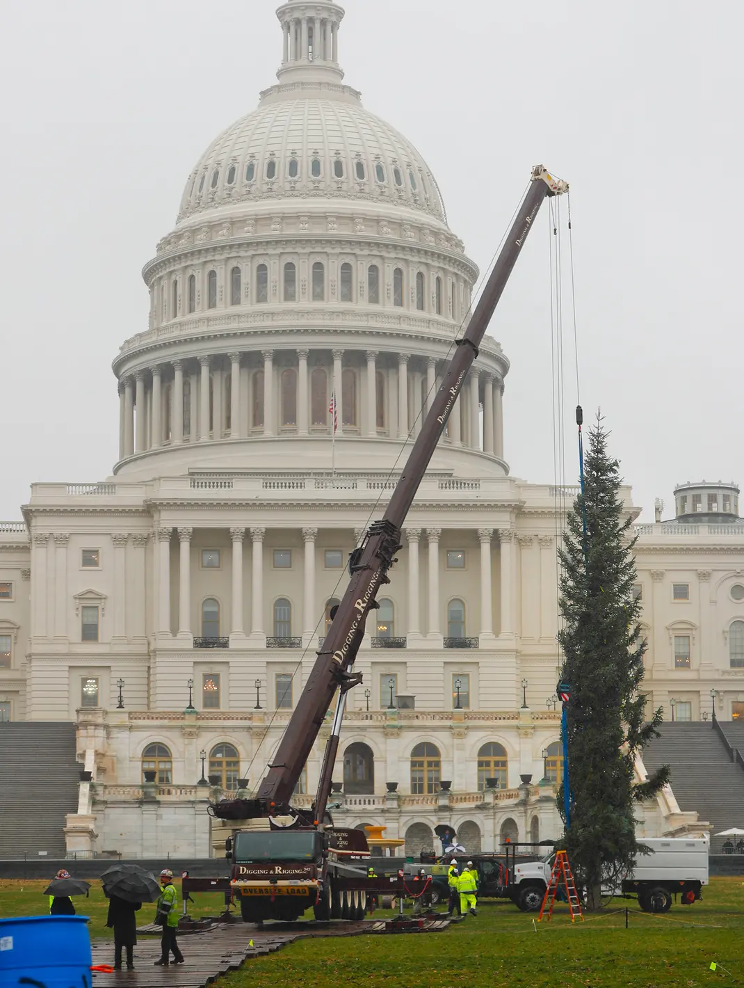 FOTO: Gedung Capitol AS 'Tanam Pohon' Natal Setinggi 24 Meter - Foto ...
