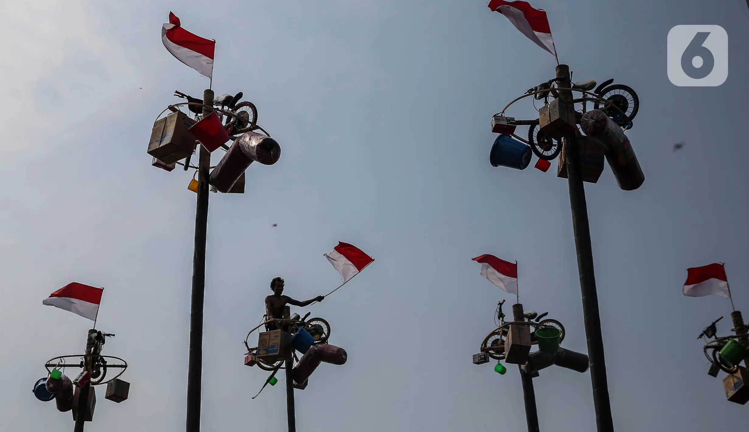 Panjat Pinang, Lomba Kolosal yang Paling Diminati Saat Perayaan HUT ...