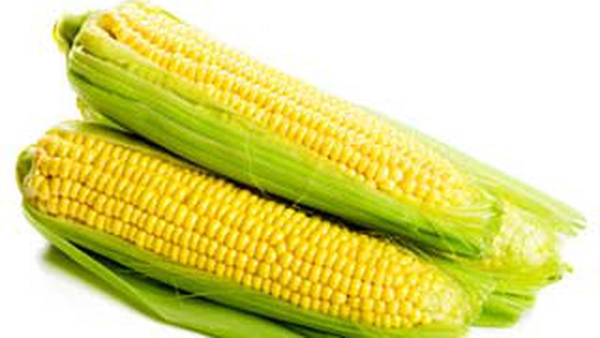 Jangan Sepelekan Jagung - Health Liputan6.com