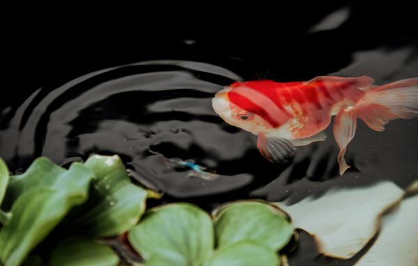 65 Ucapan Sempro Terbaik yang Menyentuh Hati dan Menginspirasi