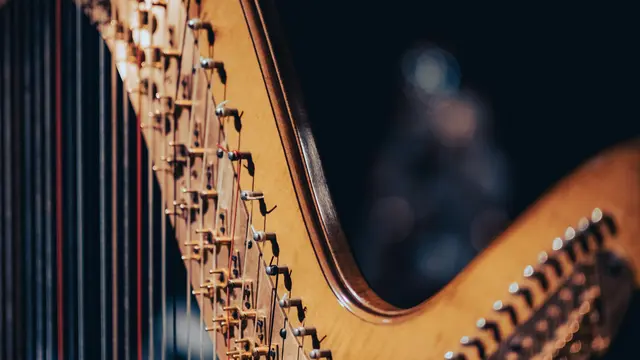 Macam-Macam Alat Musik Petik yang Perlu Diketahui - Ragam Bola.com