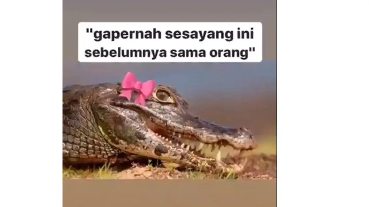 10 Meme Buaya Darat Versi Betina Ala Netizen Ini Bikin Geleng Kepala ...