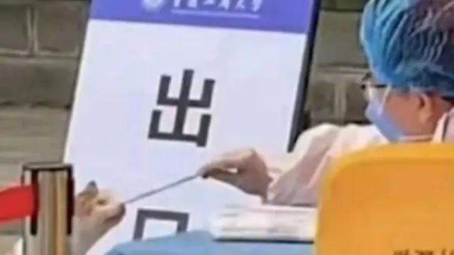 Top 3: Kisah Kucing yang Tak Mau Pergi Sebelum Dites Swab - Citizen6 ...