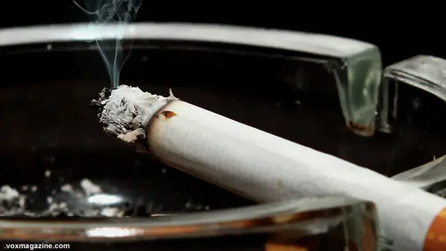 8 Fakta tentang Rokok di Indonesia - Health Liputan6.com