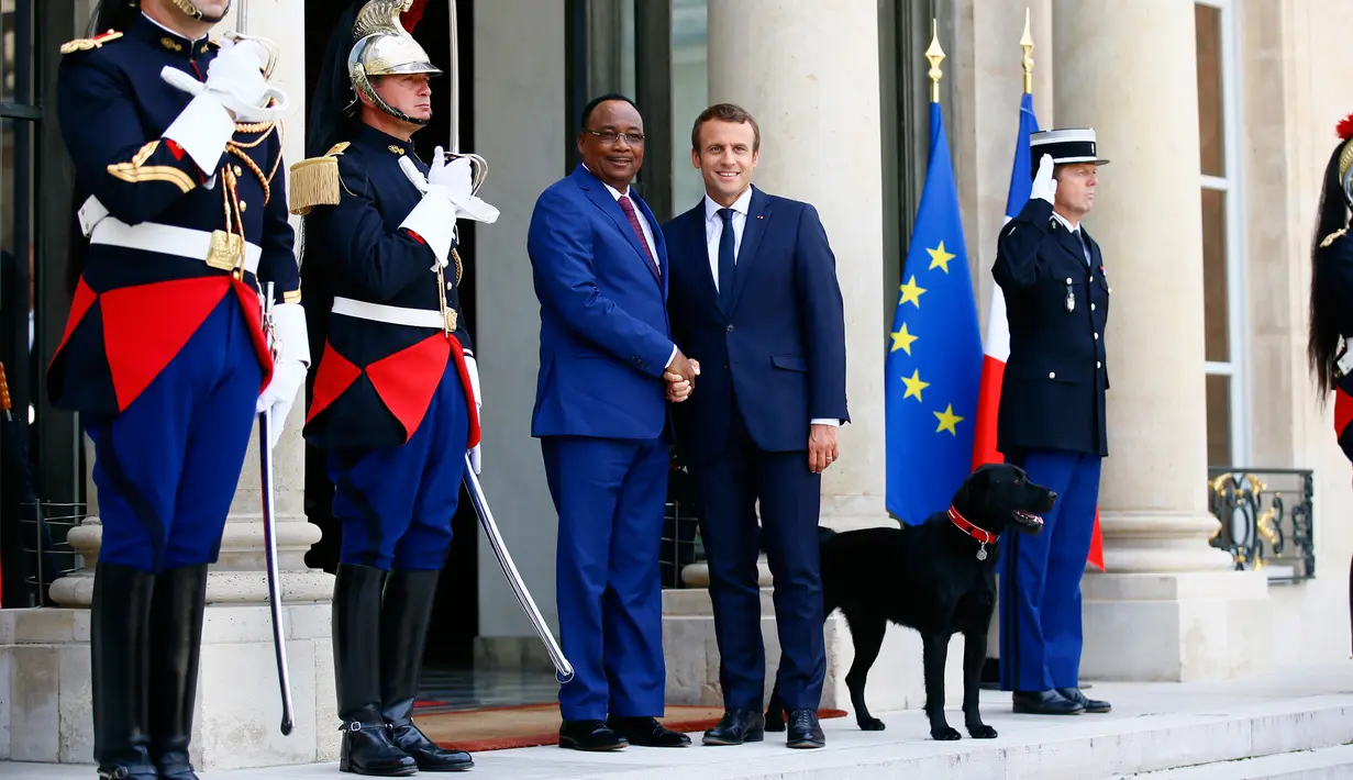 PHOTO: Nemo, Anjing Setia Milik Presiden Emmanuel Macron - Foto ...