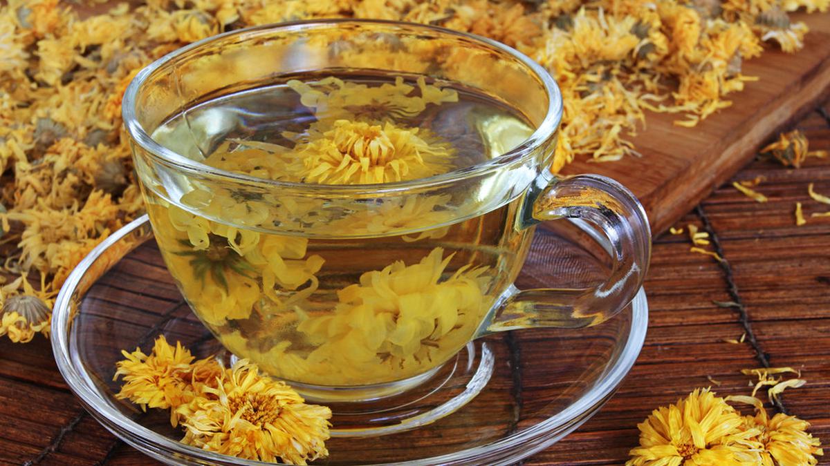 Resep Teh Bunga Krisan Hangat Penurun Kolesterol dan Tekanan Darah ...