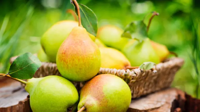 12 Manfaat Buah Pir Untuk Menurunkan Kolesterol Dan Kesehatan Tubuh