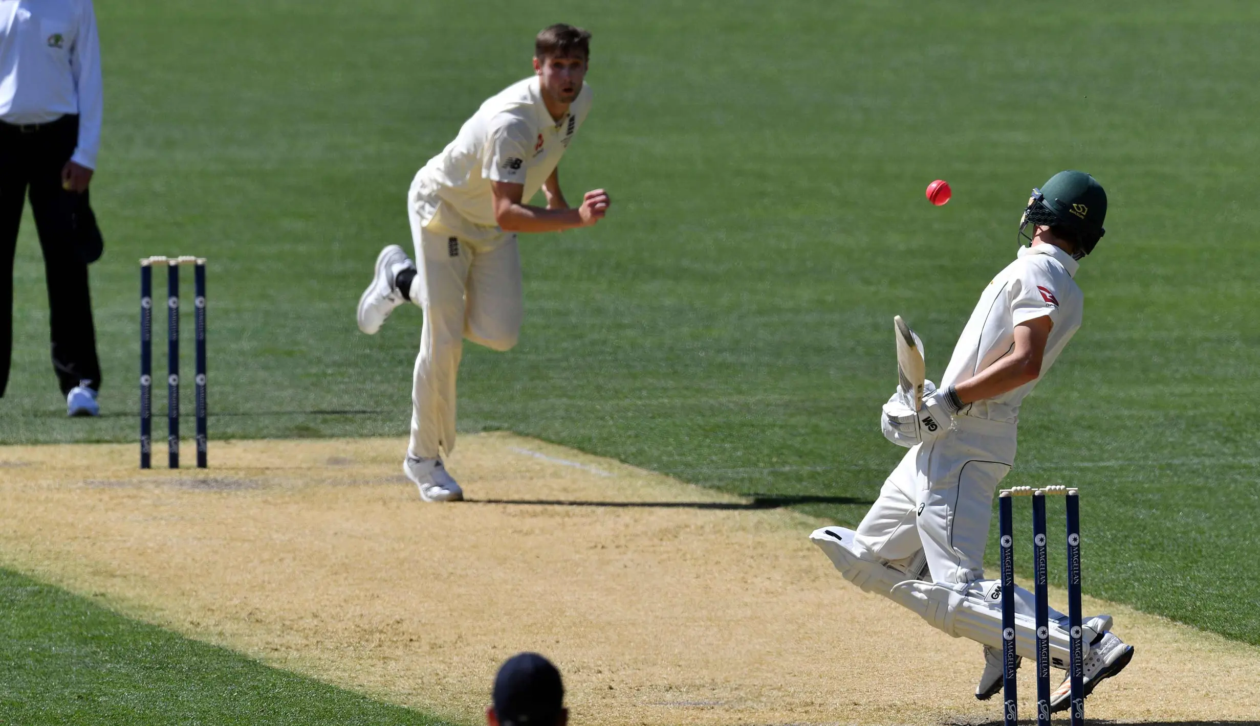 PHOTO: Momen-Momen Unik Saat Pertandingan Kriket di Australia - Foto ...