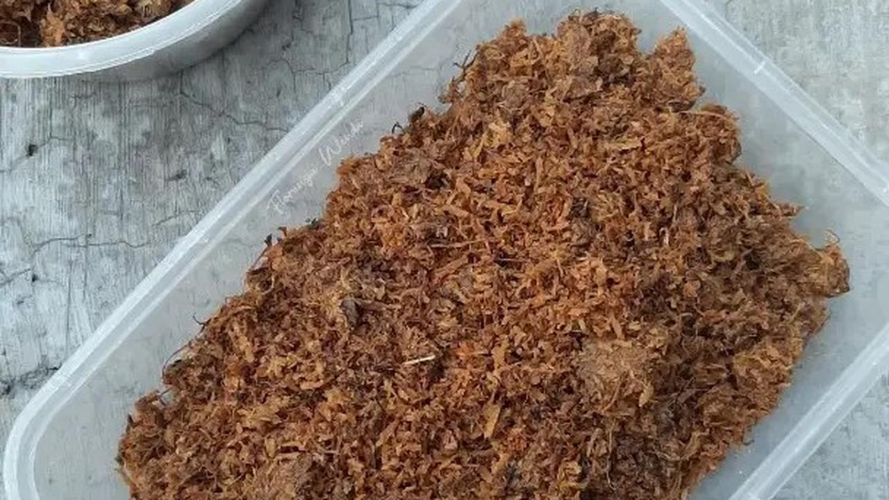 Cara Membuat Abon yang Lezat dan Tahan Lama, Praktis Dicoba di Rumah