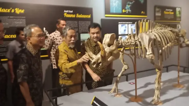 Jejak Terpendam dari Lembah Walanae - Regional Liputan6.com