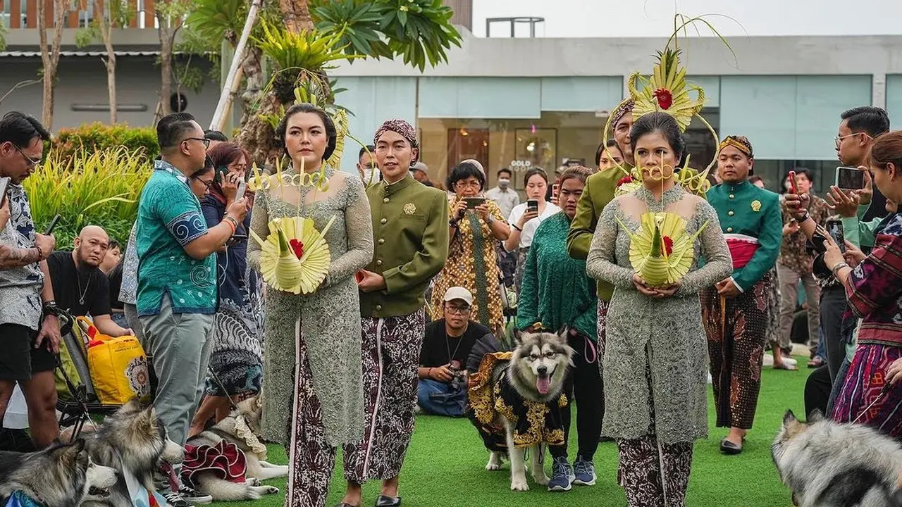 Pakai Adat Jawa, Pernikahan Anjing Viral Jojo dan Luna Habiskan Dana ...