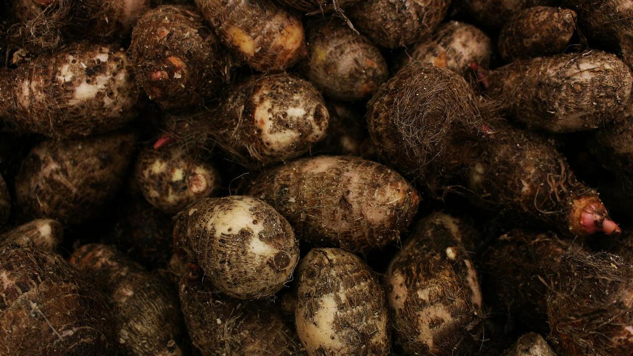 10 Manfaat Talas Baik untuk Jantung hingga Pencernaan, Ketahui Jenis ...