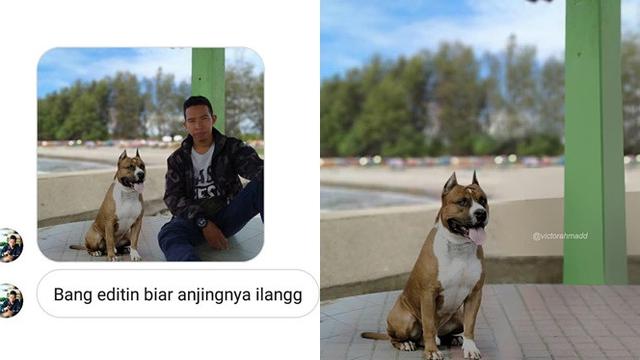 6 Hasil Editan Foto 'Minta Dihilangkan' Ini Bikin Ketawa Geli - Hot ...