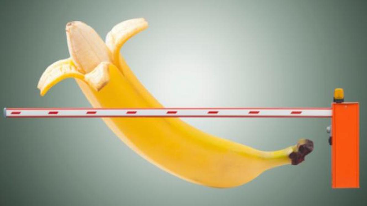 Mr. P Bengkok, yang Normal Seperti Apa?