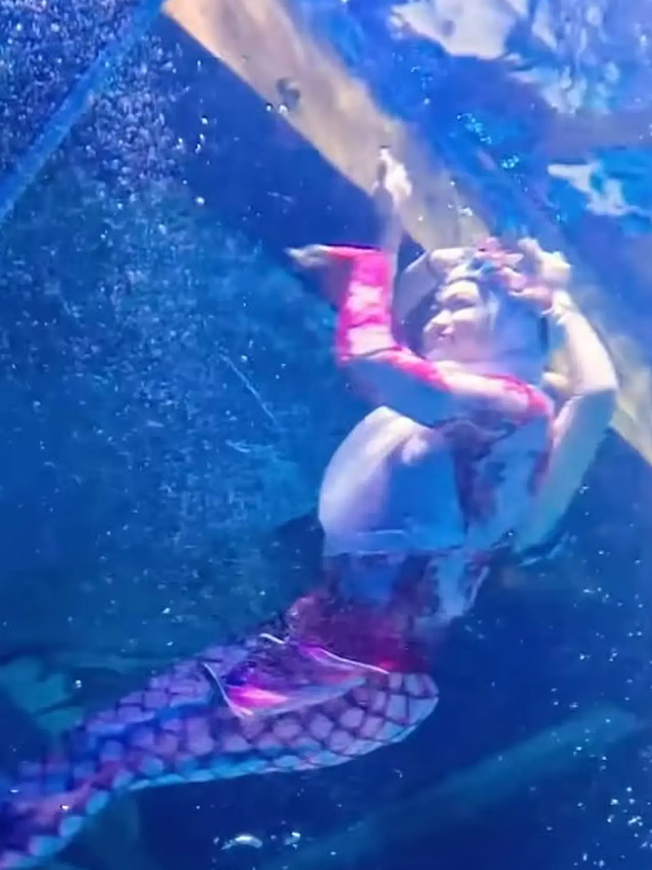 Momen Lucu Ria Ricis Jadi Mermaid di Akuarium, Nabrak Ikan Hiu ...