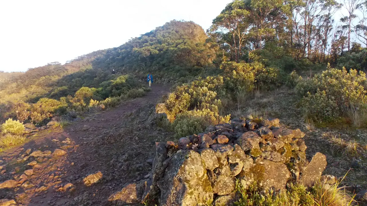 6 Fakta Menarik Gunung Ramelau di Timor Leste yang Dulunya Hutan ...