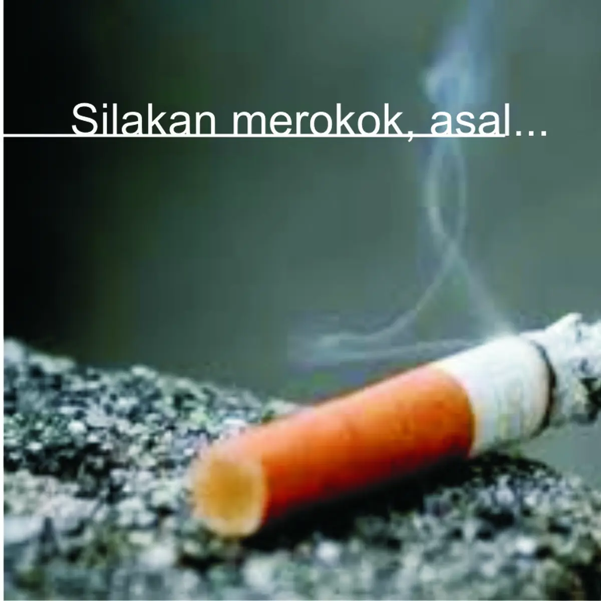 Rokok Quotes Waspada, Rokok Tidak Hanya Bahayakan Diri, Tetapi Juga