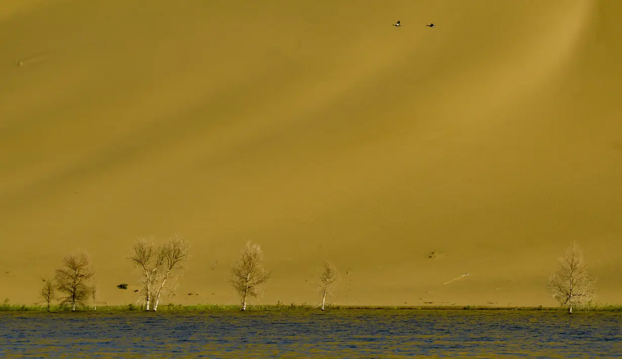 FOTO: Pemandangan Alam Indah Danau Lop di Xinjiang - Foto Liputan6.com