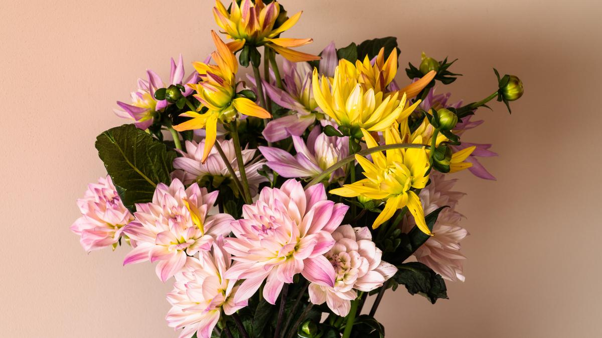 7 Buket Bunga untuk Momen Spesial: Pilihan yang Cocok untuk Lamaran