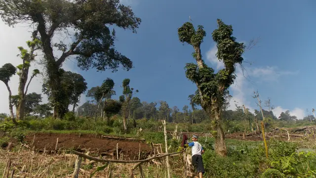6 Fakta Menarik Gunung Karang, Gunung Api Tertinggi di Provinsi Banten