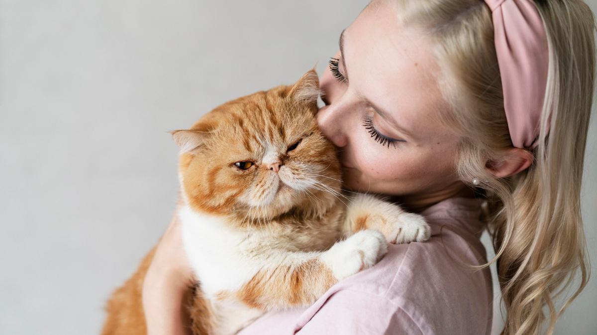 Top 10 Most Affectionate Cat Breeds That Love to Cuddle with You
