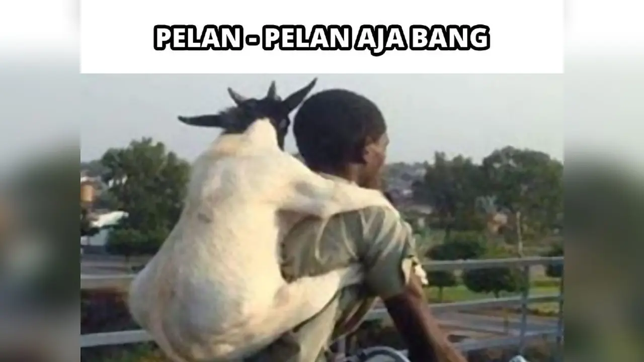 7 Meme Absurd Kambing Jelang Hari Raya Idul Adha Ini Kocak - Hot ...